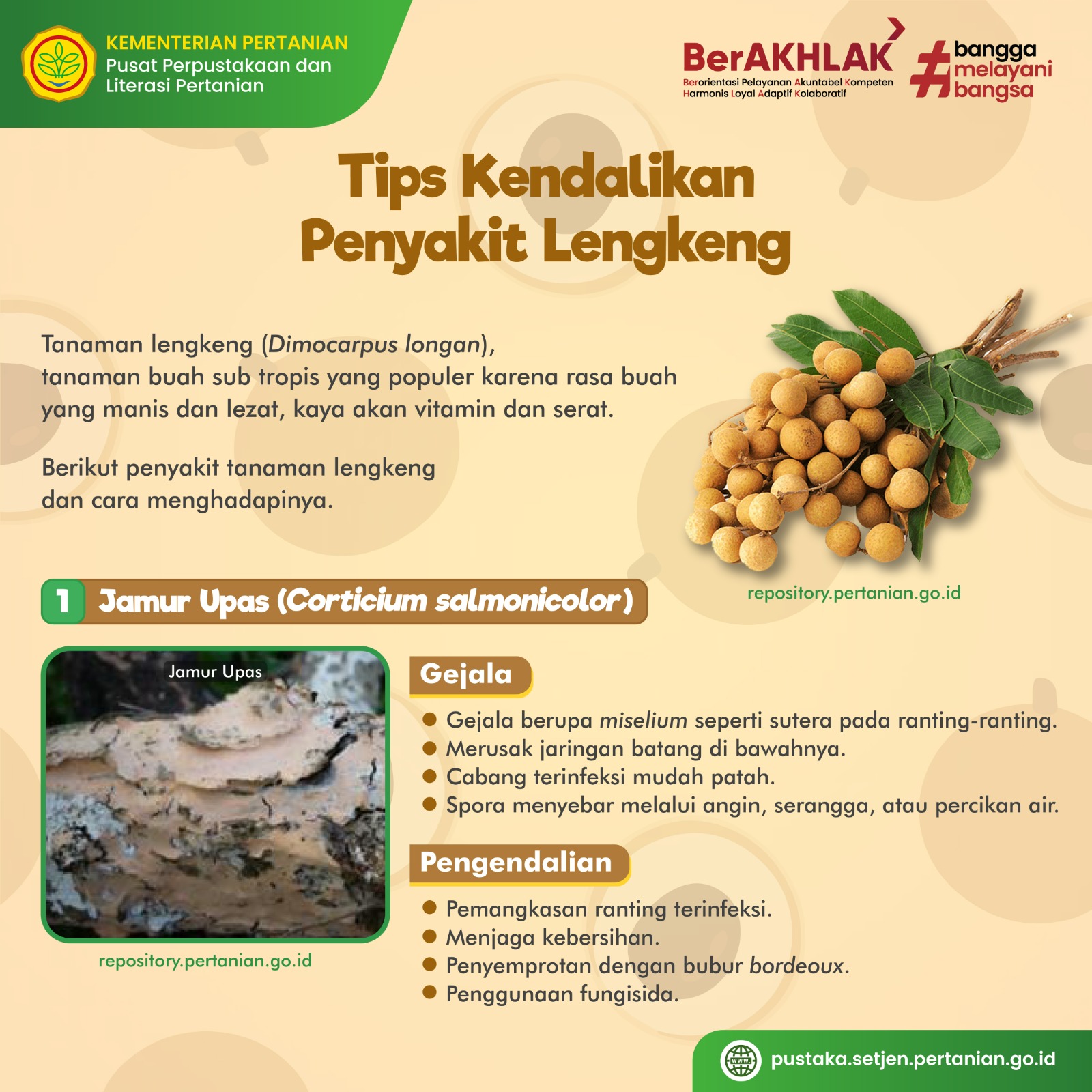 Infografis Pertanian