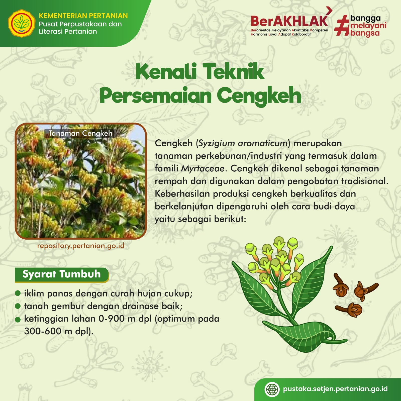 Teknik Persemaian Tanaman Cengkeh