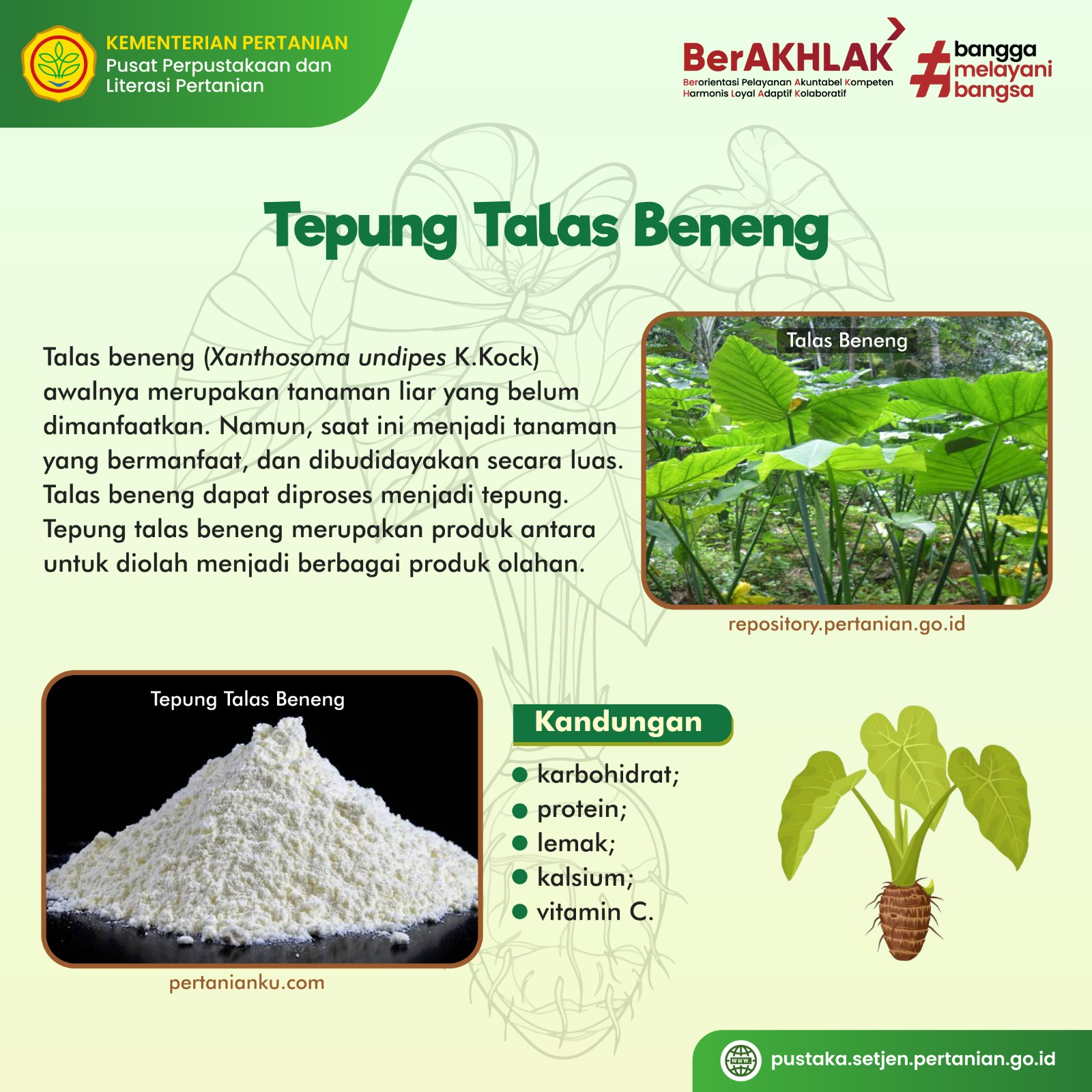 Tepung Talas Beneng