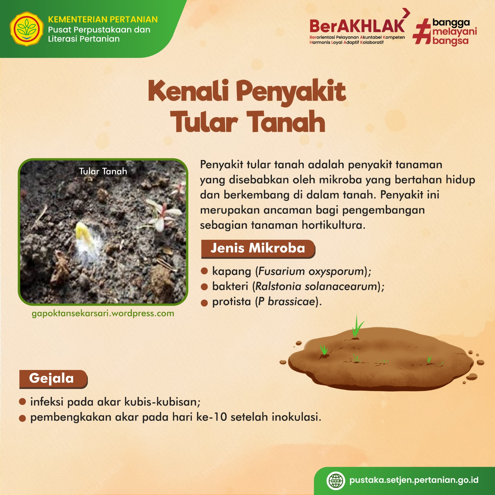 Mengenal Penyakit Tular Tanah Komoditas Hortikultura