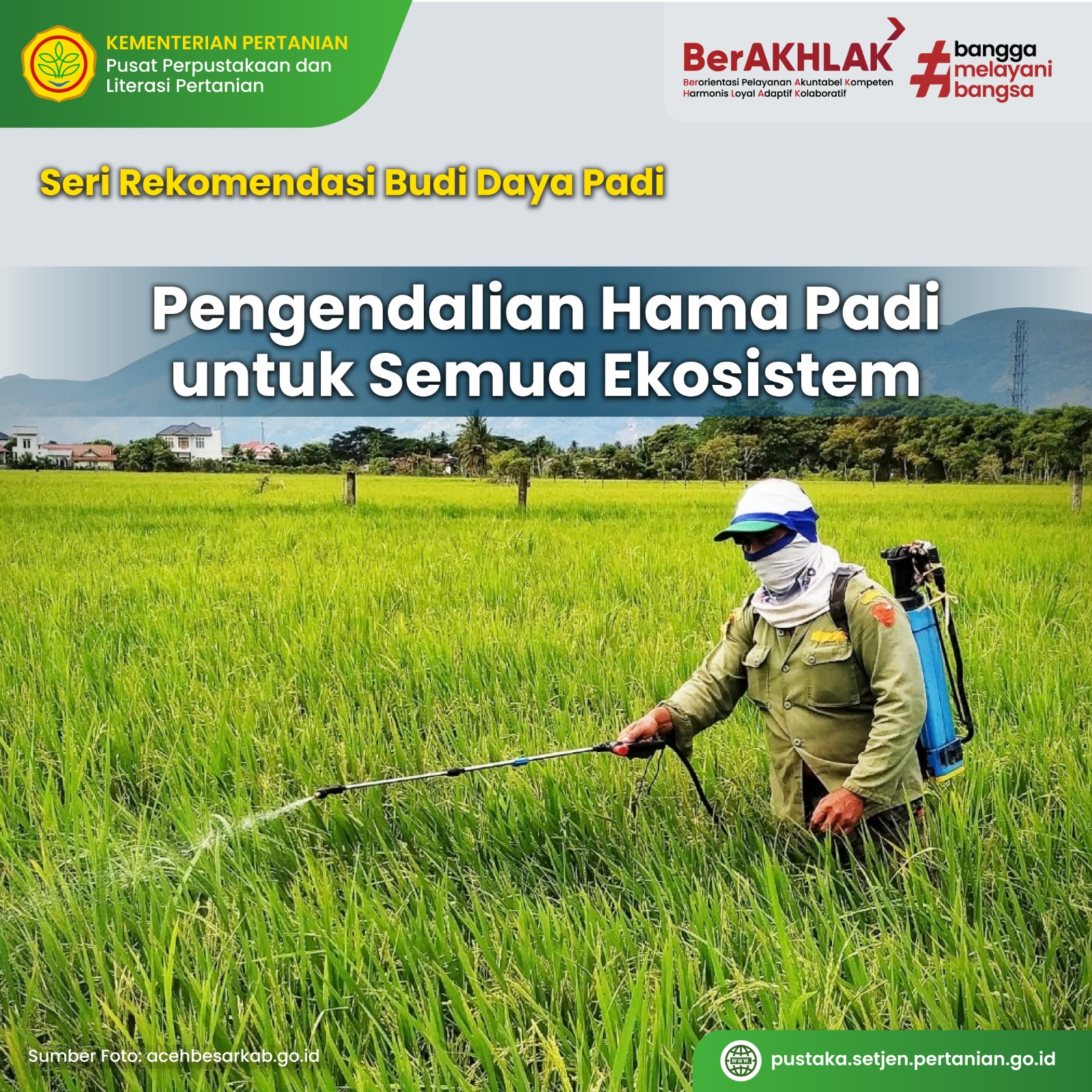 Pengendalian Hama dan Penyakit Padi untuk Semua Ekosistem