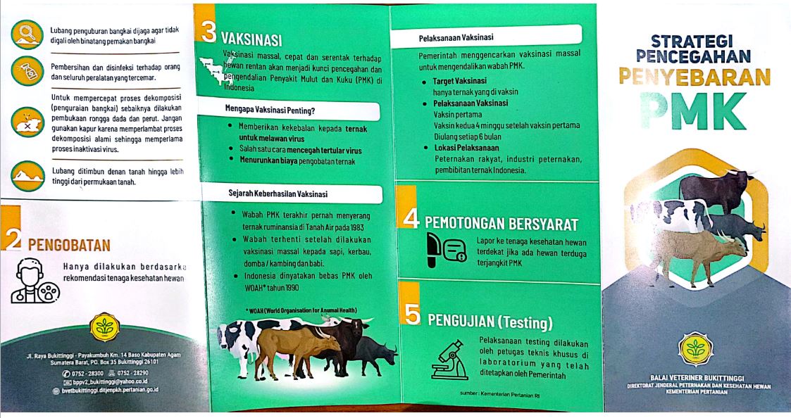 LEAFLET PENYAKIT PMK