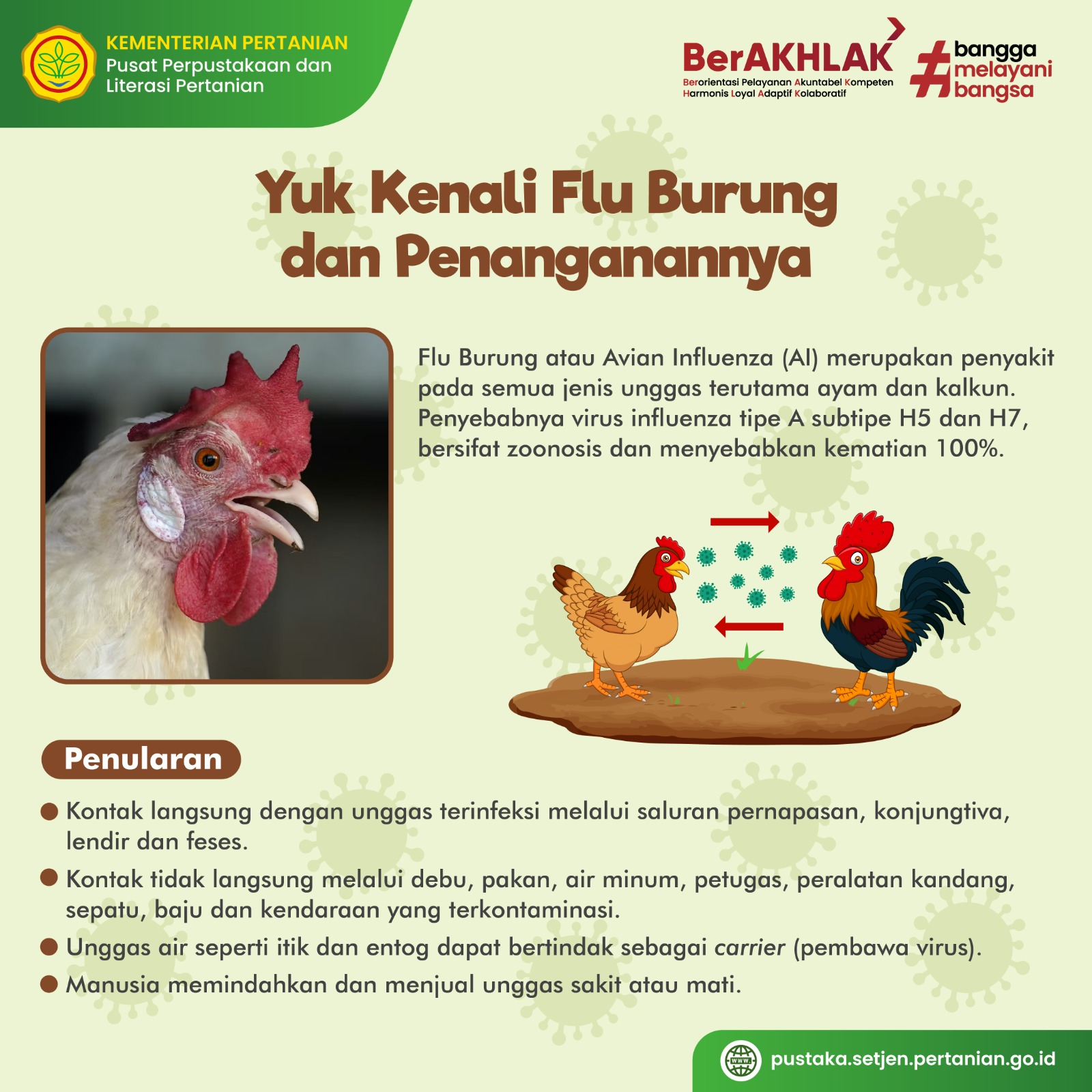 Flu Burung dan Penanganannya