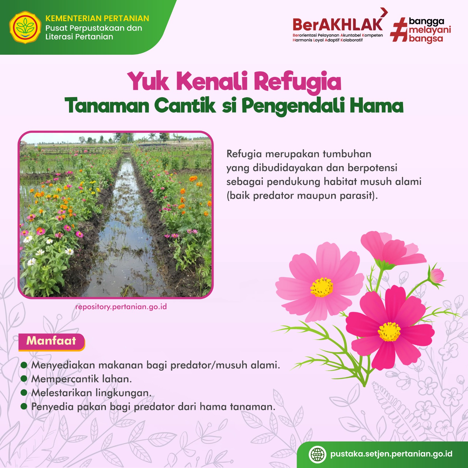 Mengenal Refugia,Tanaman Cantik Pengendali Hama Secara Alami