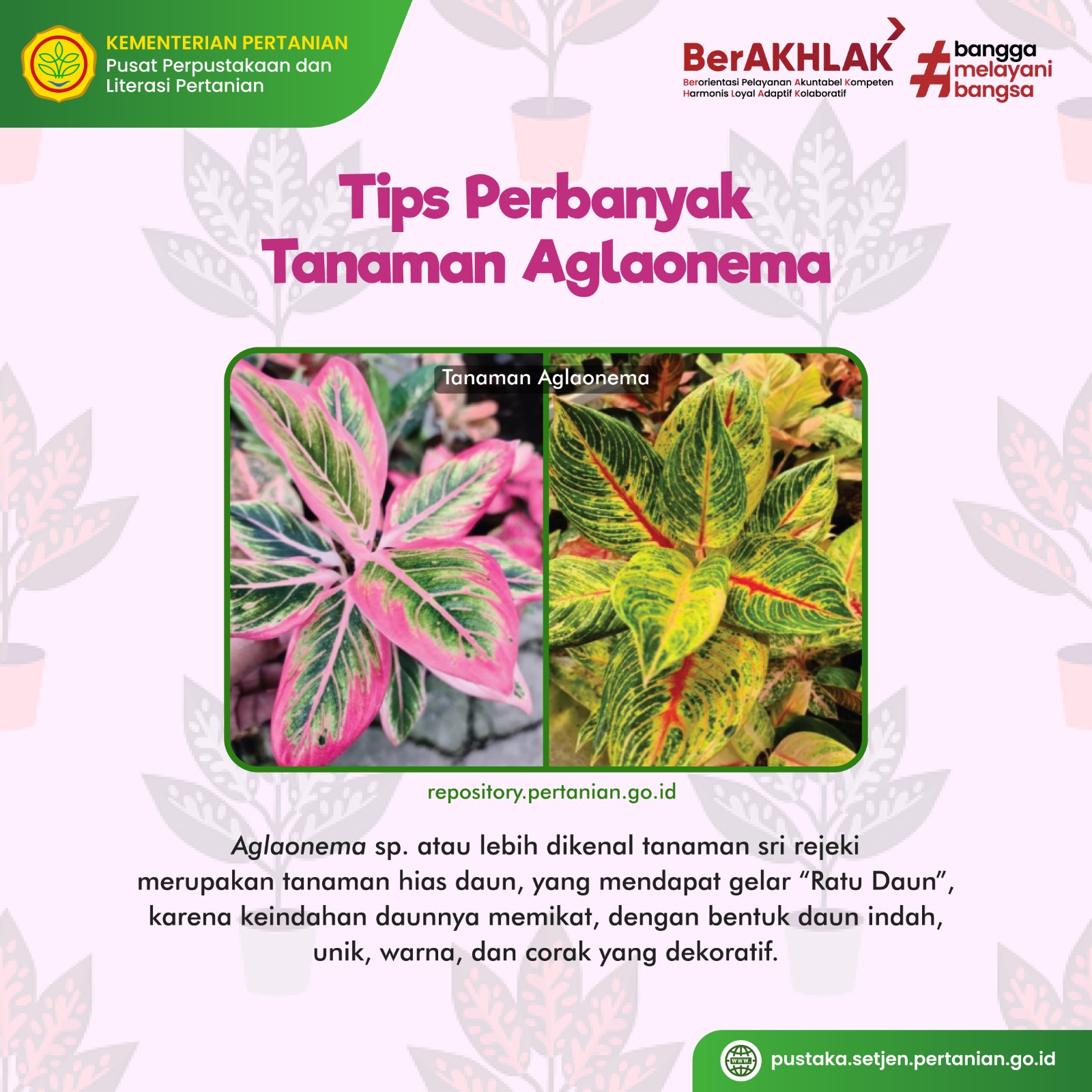 Infografis Pertanian