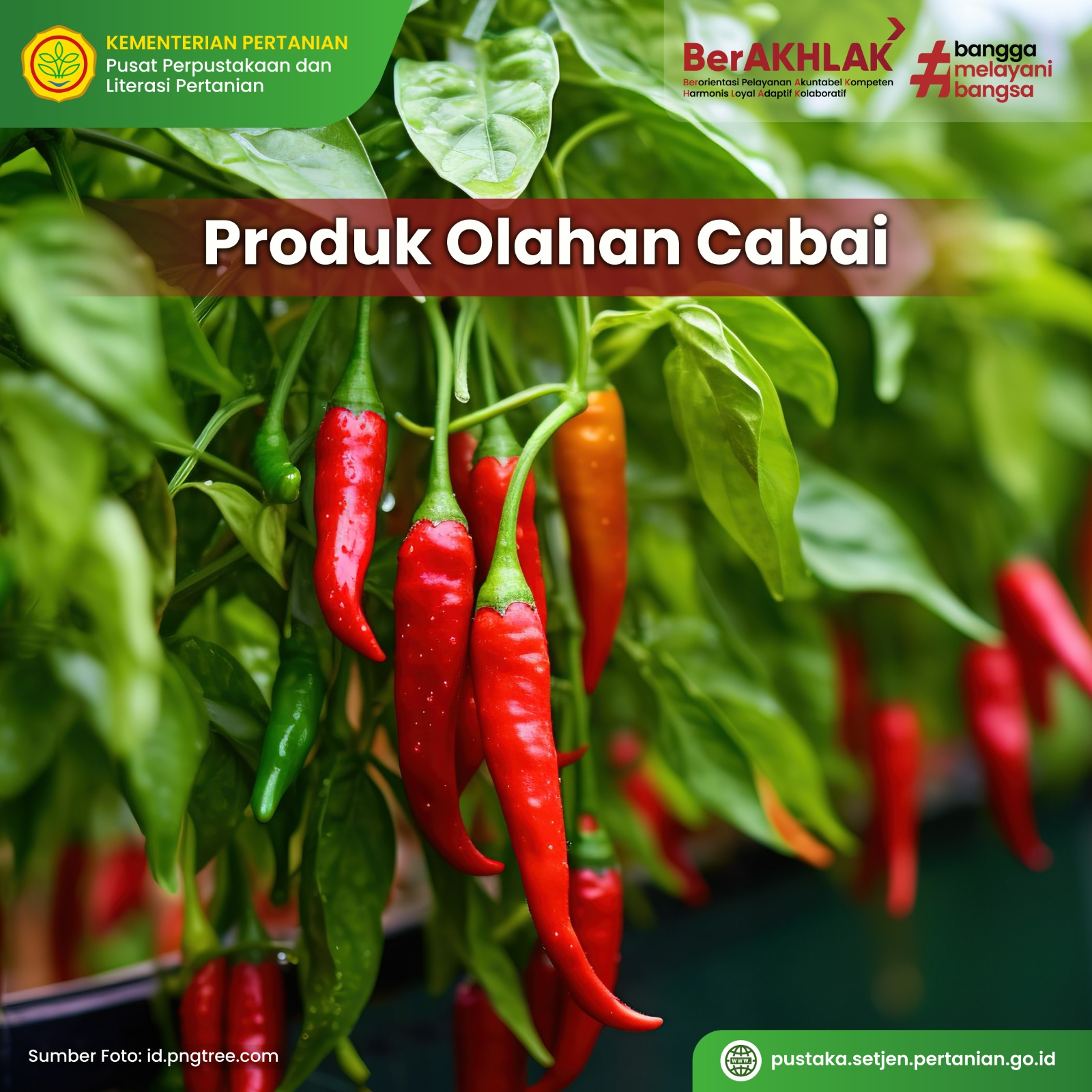 Produk Olahan Cabai