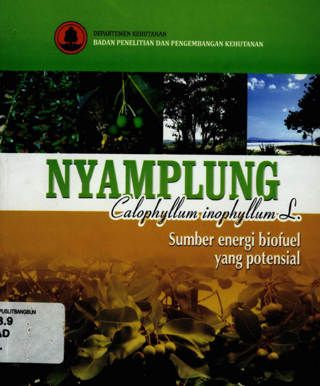 NYAMPLUNG (calophyllum inophyllum L.) SUMBER ENERGI BIOFUEL YANG POTENSIAL