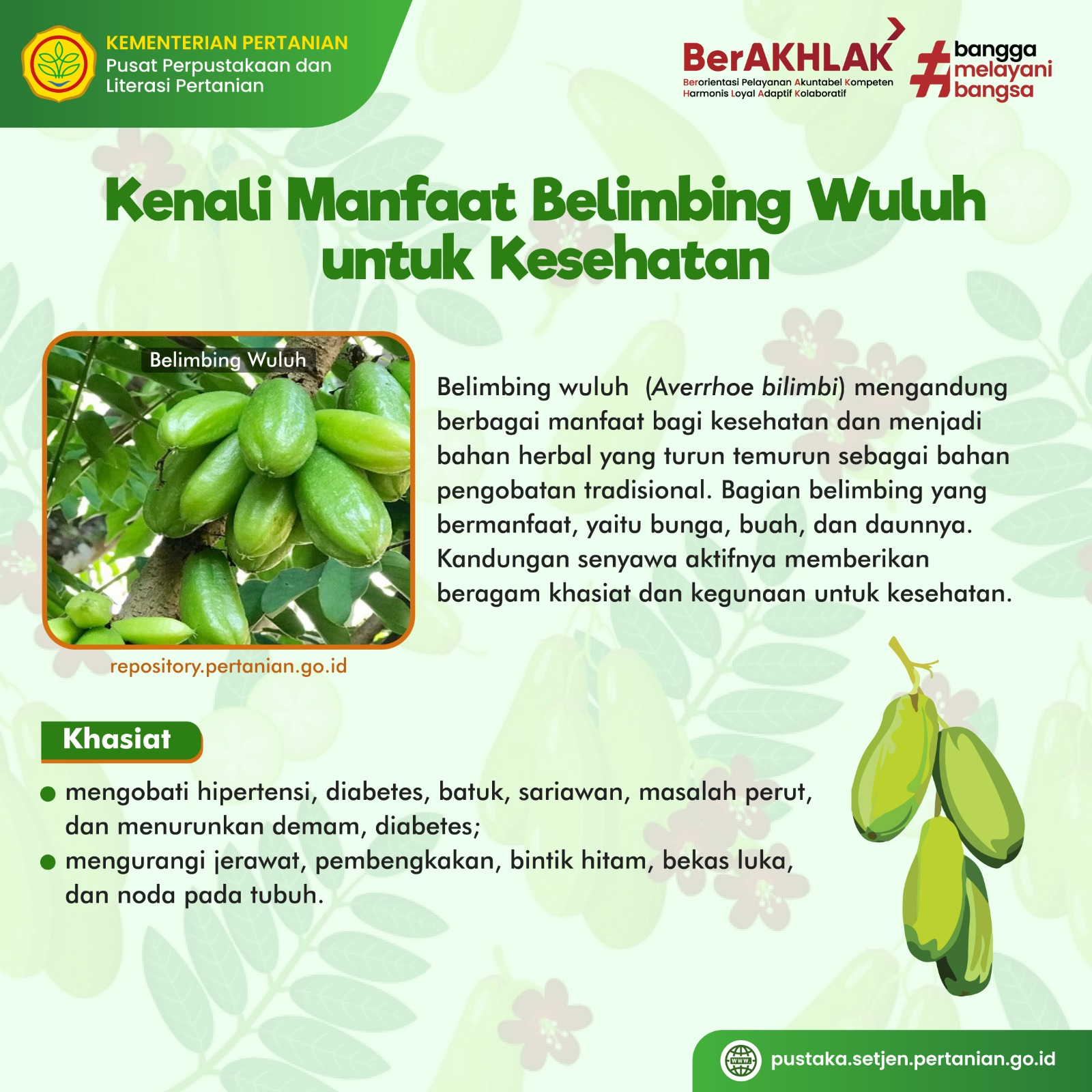 Manfaat Belimbing Wuluh untuk Kesehatan